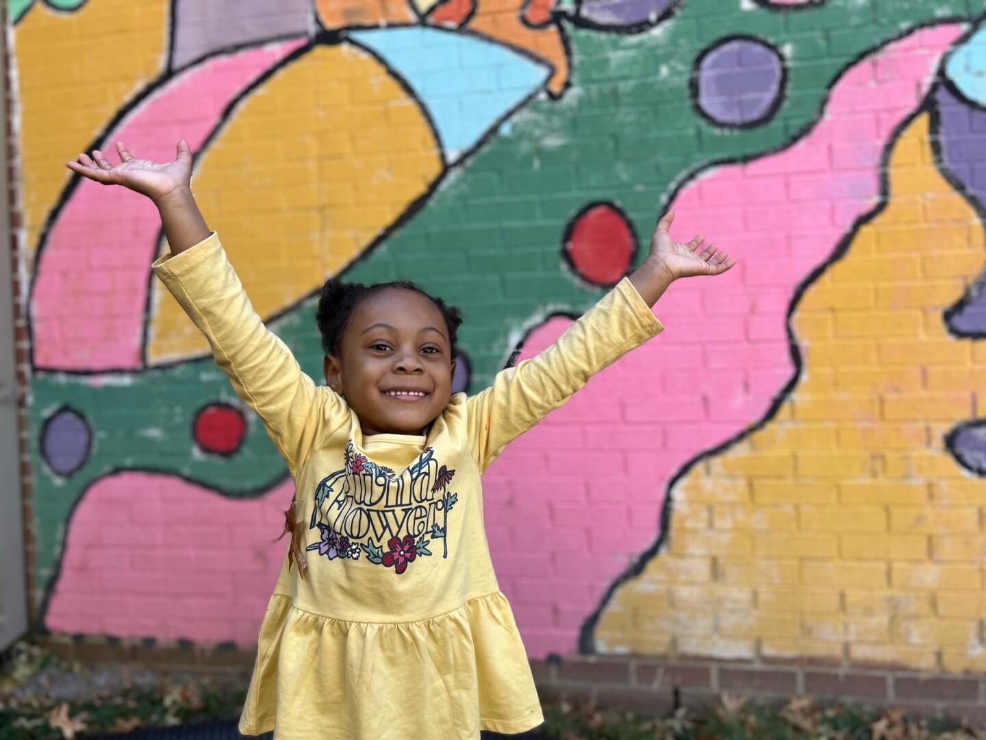 About Us - Metropolitan Development and Housing Agency